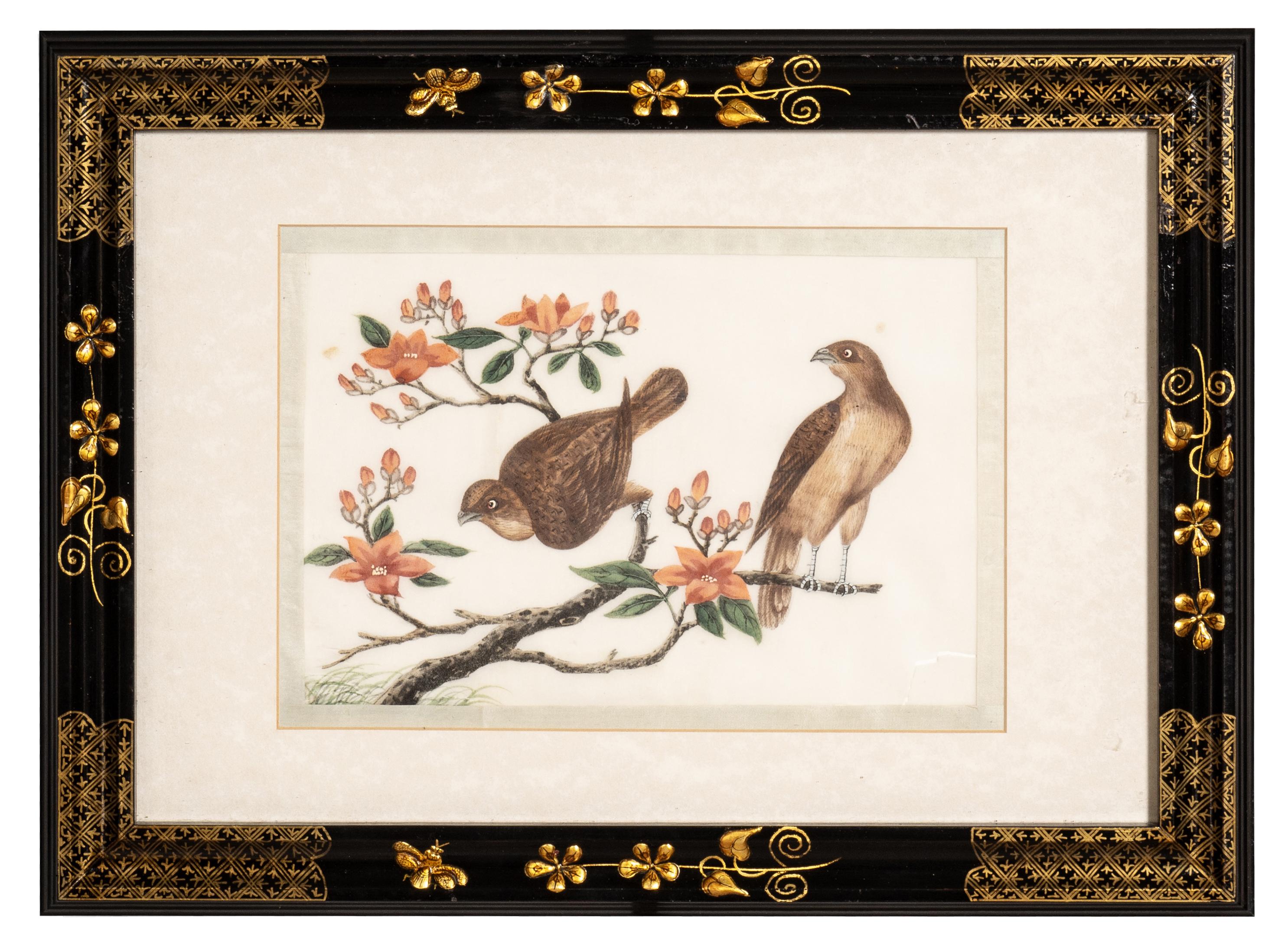 Set Of Eight Framed Chinese Export Pith Paper Watercolors Of Birds For ...