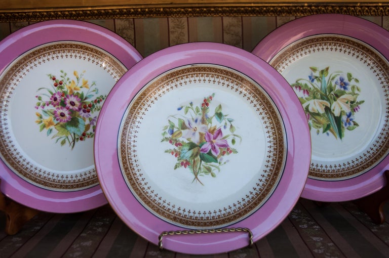 Set of Eight Rare Antique Royal Worcester Botanical Plates at 1stDibs