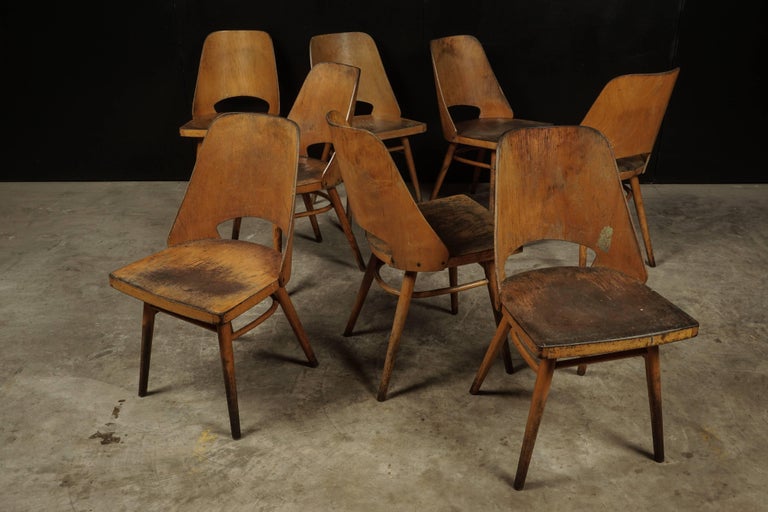 Set of Eight Shell Chairs from Czech Republic, circa 1960 at 1stDibs