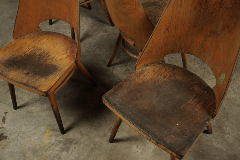 Set of Eight Shell Chairs from Czech Republic, circa 1960 at 1stDibs