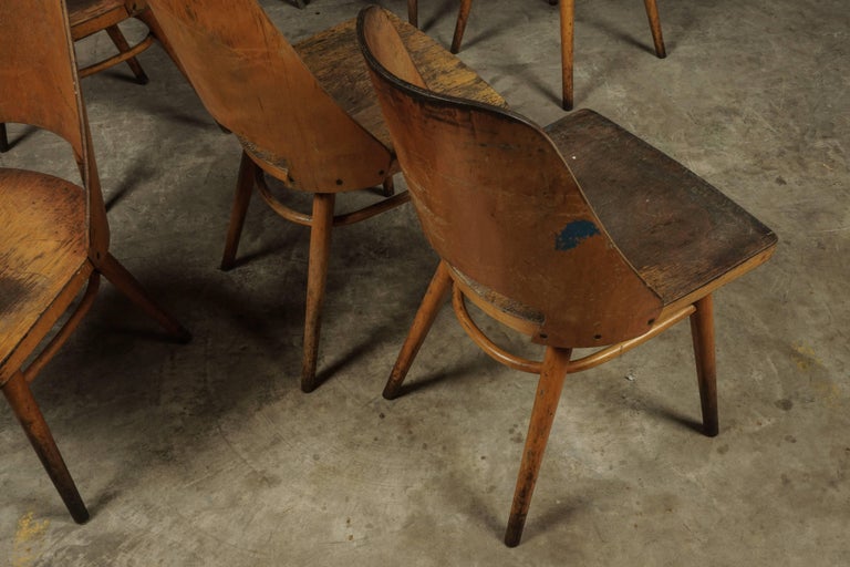 Set of Eight Shell Chairs from Czech Republic, circa 1960 at 1stDibs