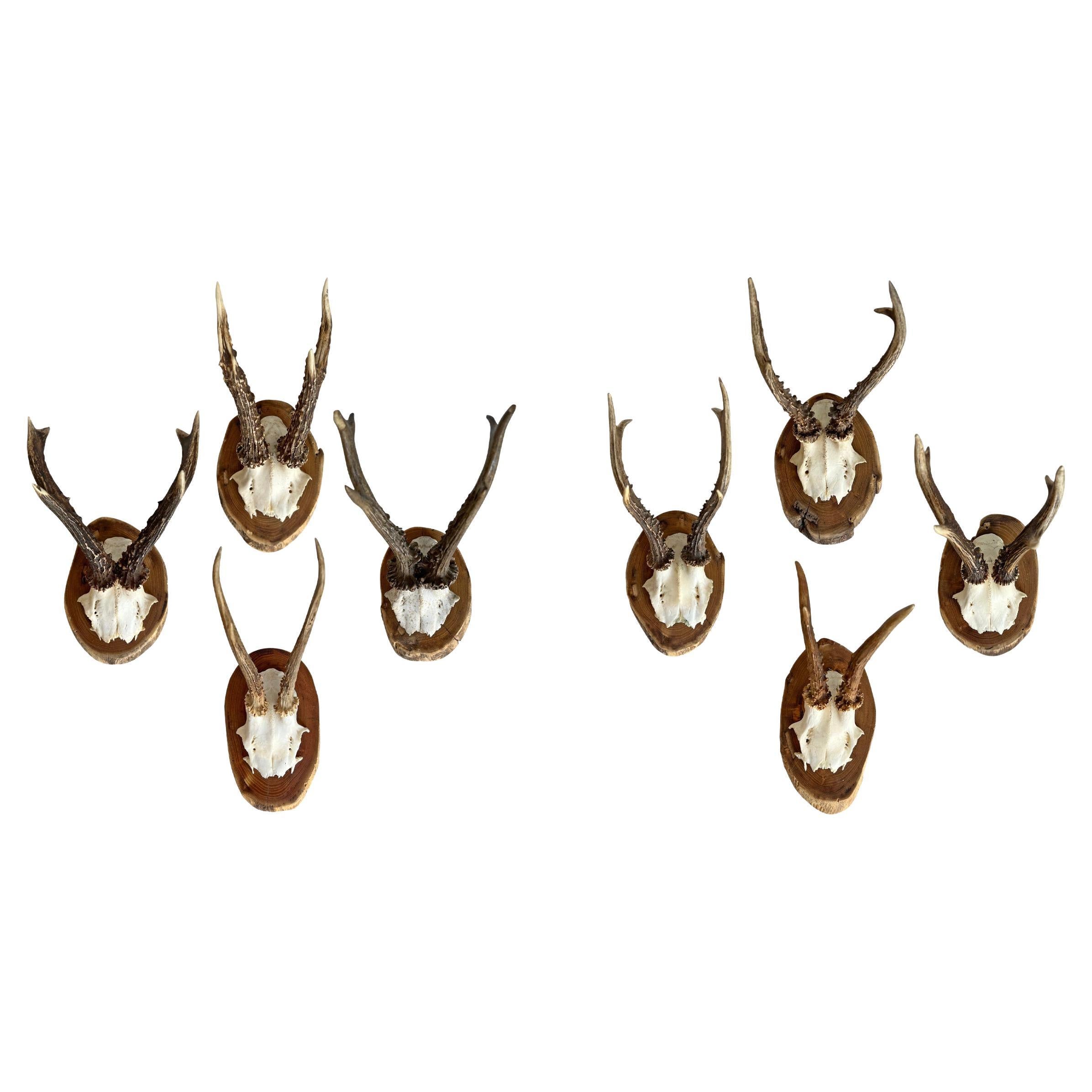 Pair Of Gilt Aluminum Deer Sculptures at 1stDibs