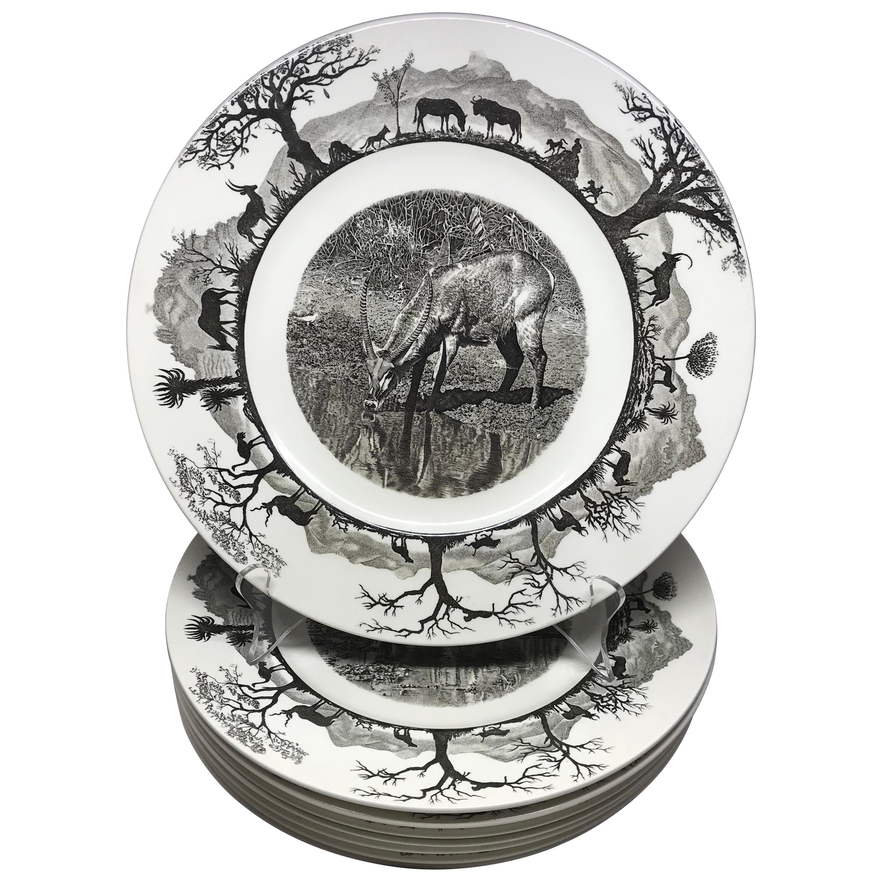 Set of Eight Wedgwood African Safari Plates at 1stDibs | wedgwood ...
