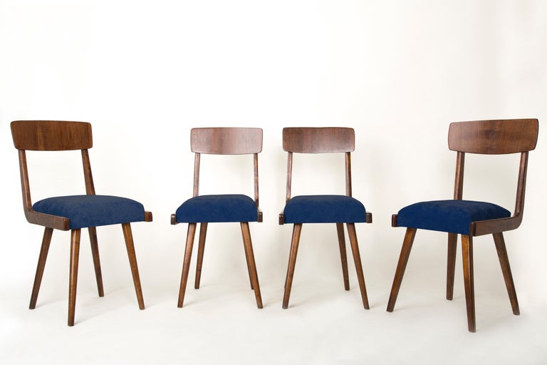 Set of Four 20th Century Navy Blue Wood Chairs, 1960s For Sale at ...