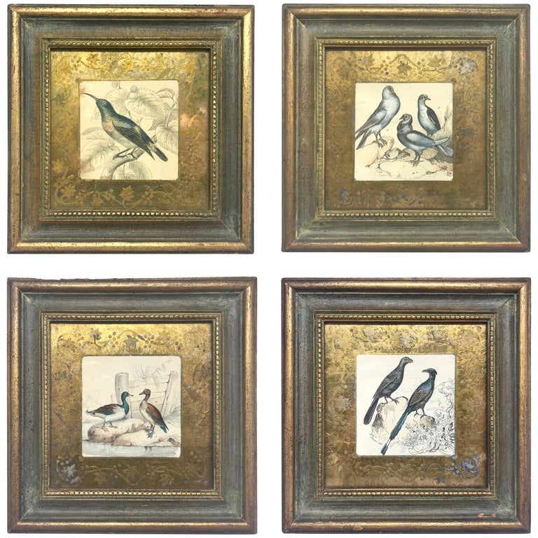 Set of Four Bird Engravings at 1stDibs