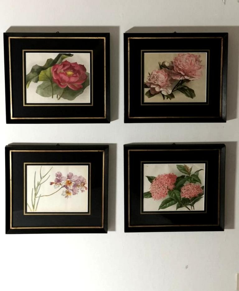 Victorian English Set of Four Frames with "Botanical" Prints 1880 at ...