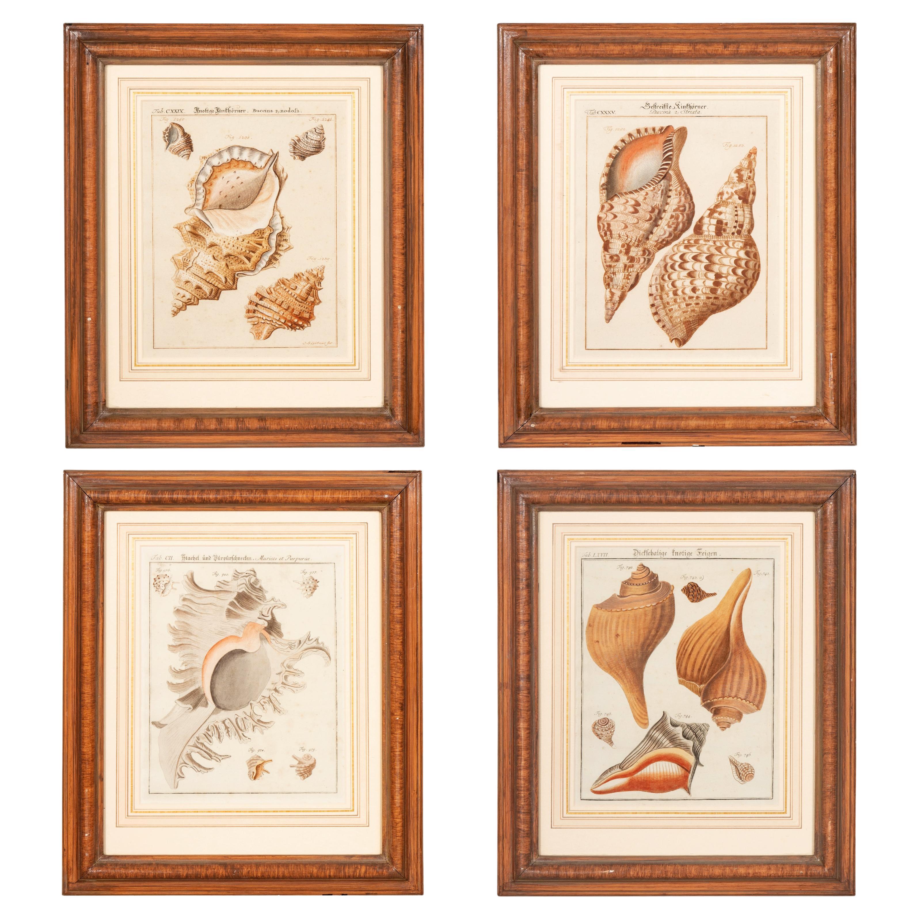 Set of Six Framed Hand Colored Engravings of Swedish Royal Residences ...