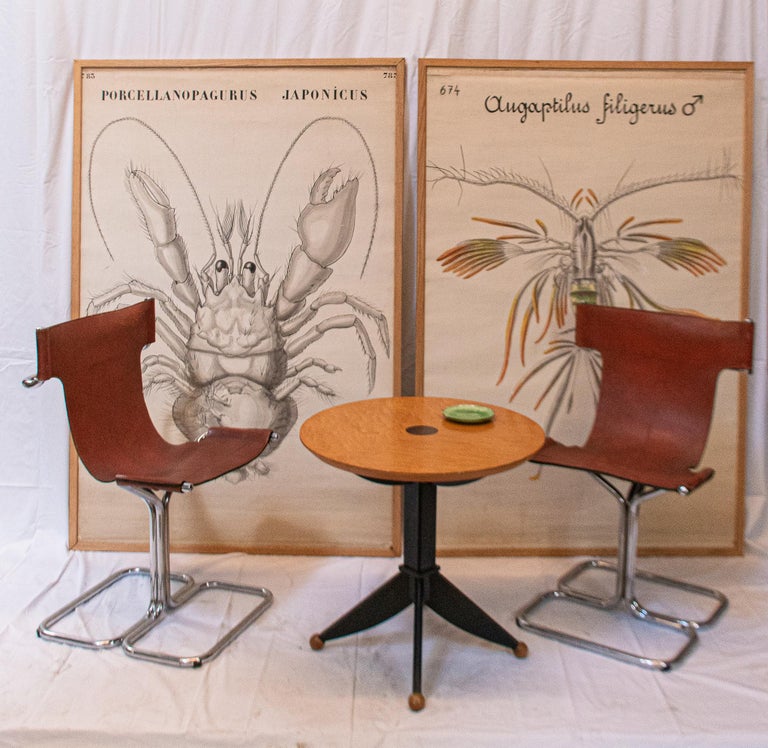 Set of Four Mid-Century Modern T Chairs in Chrome and Cognac Leather ...