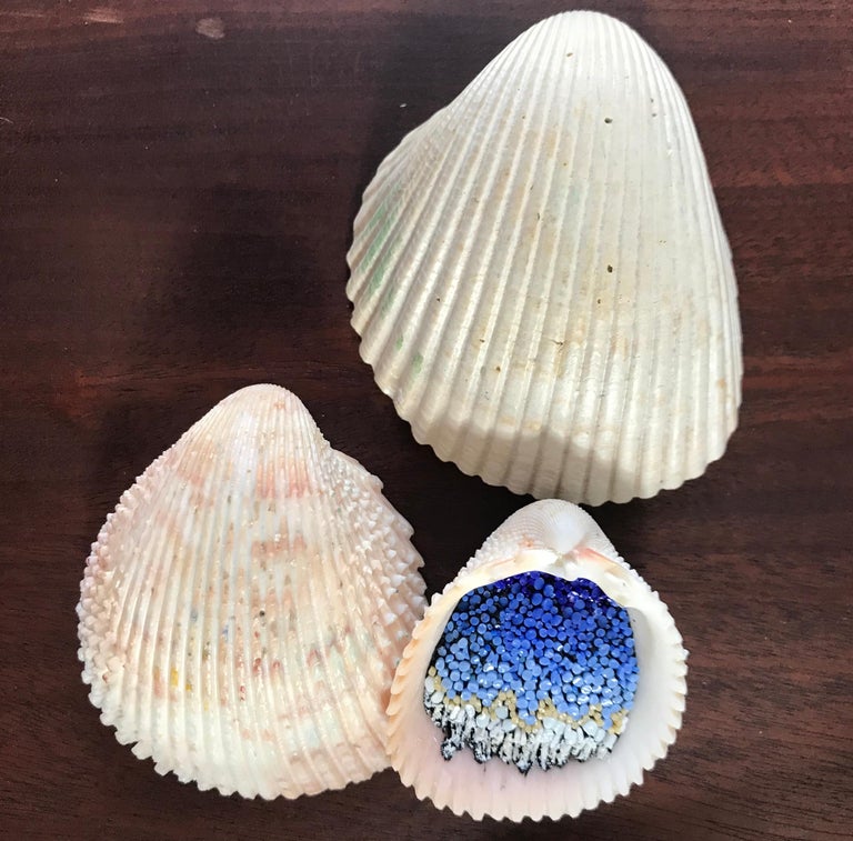 Set of Micro Mosaic Shells For Sale at 1stDibs | micro seashells