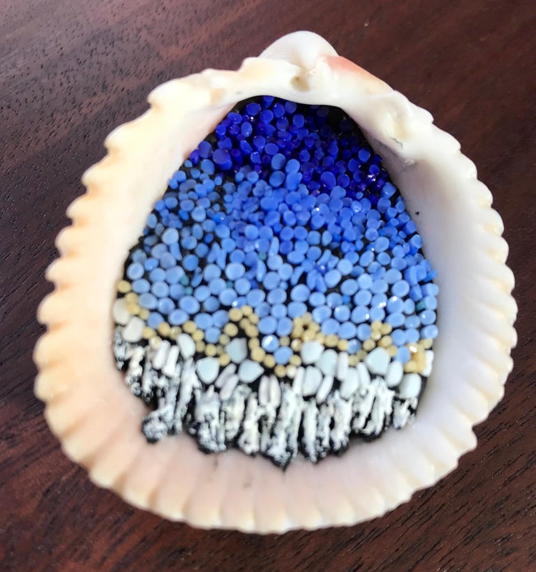Set of Micro Mosaic Shells For Sale at 1stDibs | micro seashells