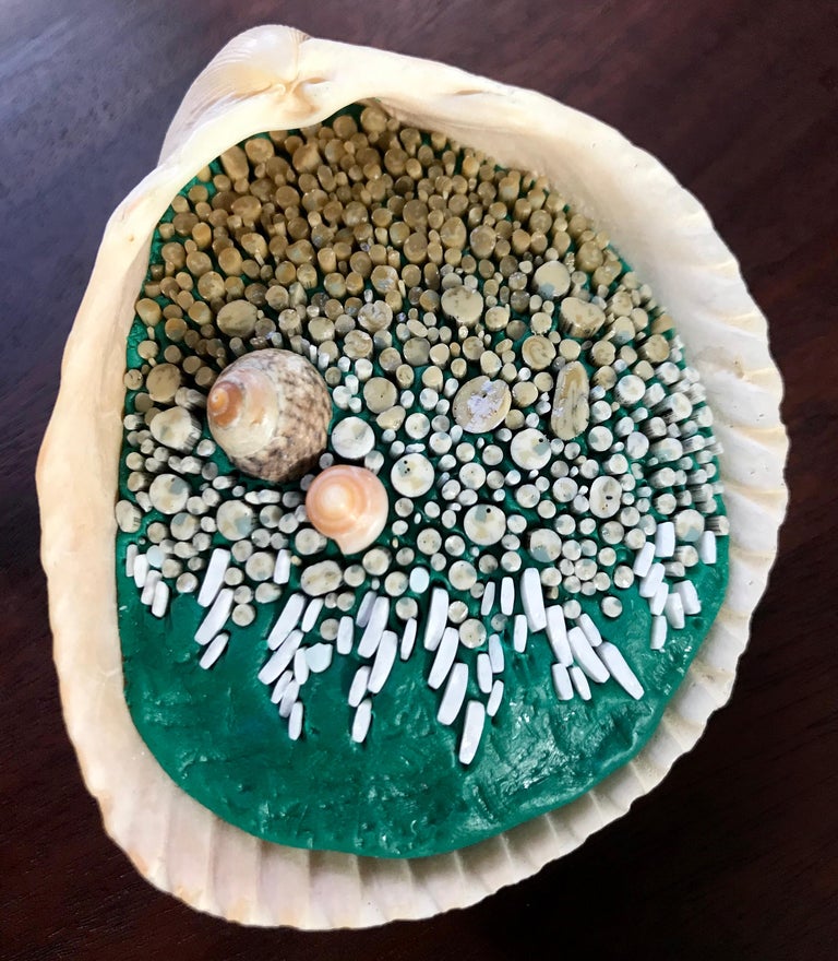 Set of Micro Mosaic Shells For Sale at 1stDibs | micro seashells