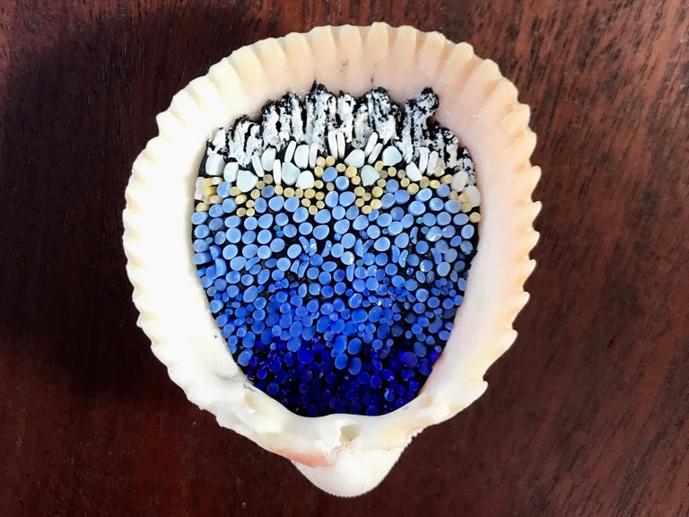 Set of Micro Mosaic Shells For Sale at 1stDibs | micro seashells