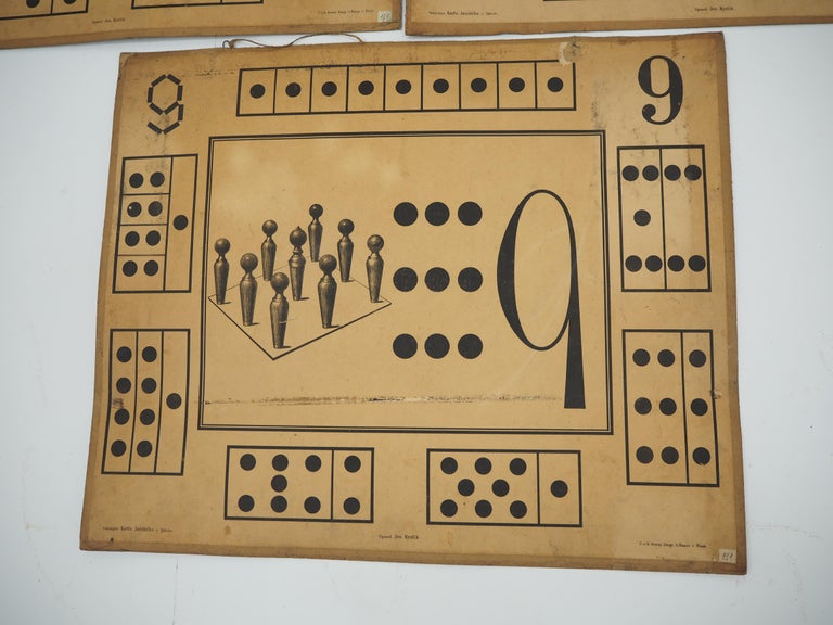 Set of Nine Antique Teaching Posters from Litography A. Haase, Prague ...