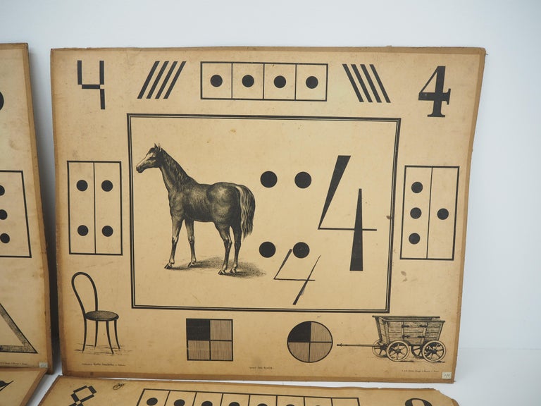 Set of Nine Antique Teaching Posters from Litography A. Haase, Prague ...