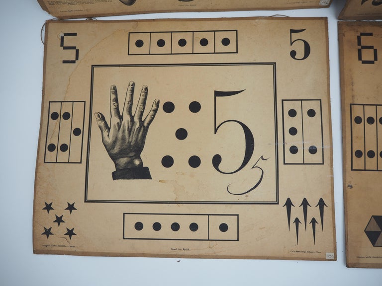 Set of Nine Antique Teaching Posters from Litography A. Haase, Prague ...