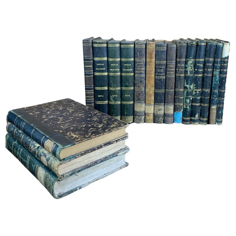 Set of Old Bound Books 19th Century France For Sale at 1stDibs
