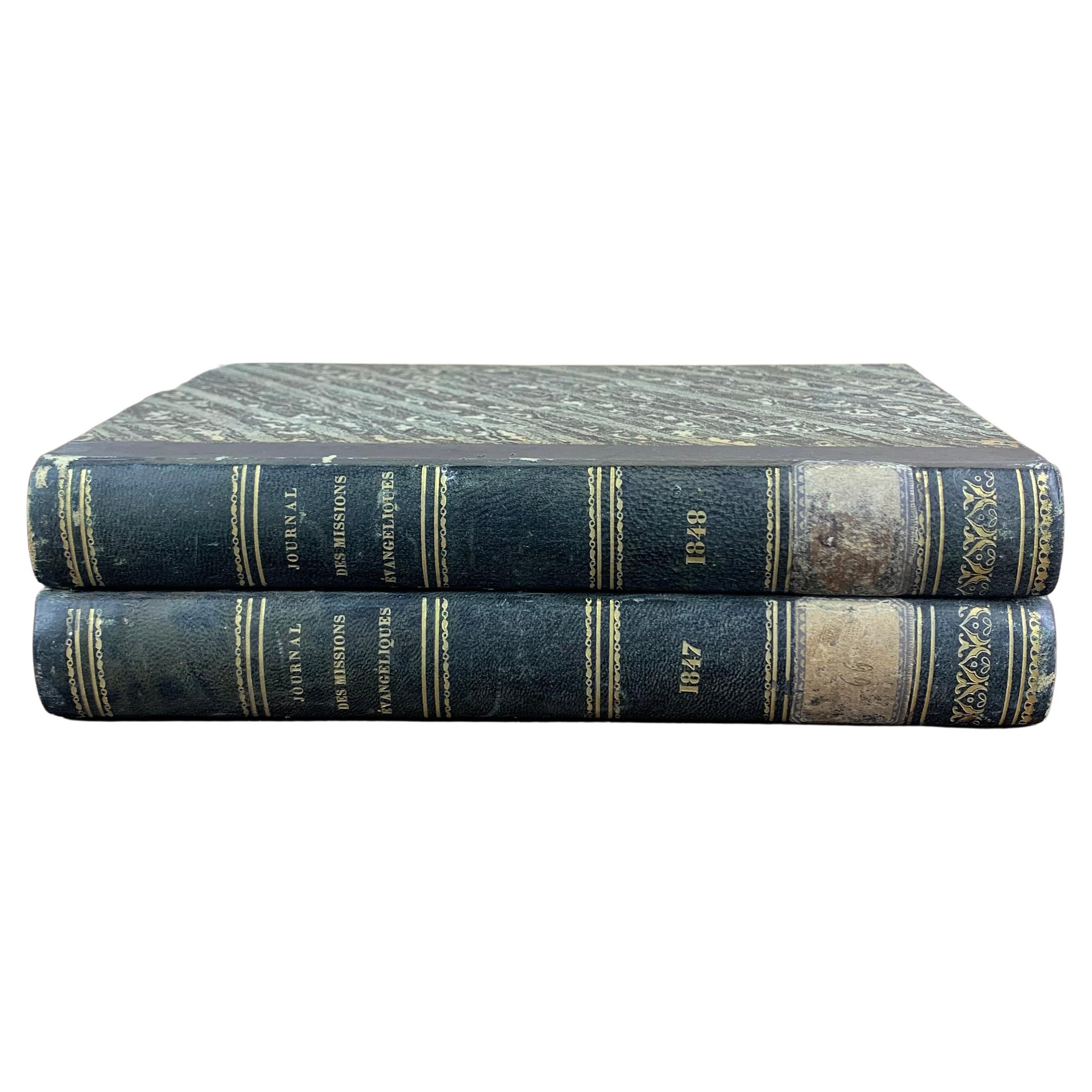 Set alter, gebundener Bücher aus Frankreich, aus dem 19. Jahrhundert im ...