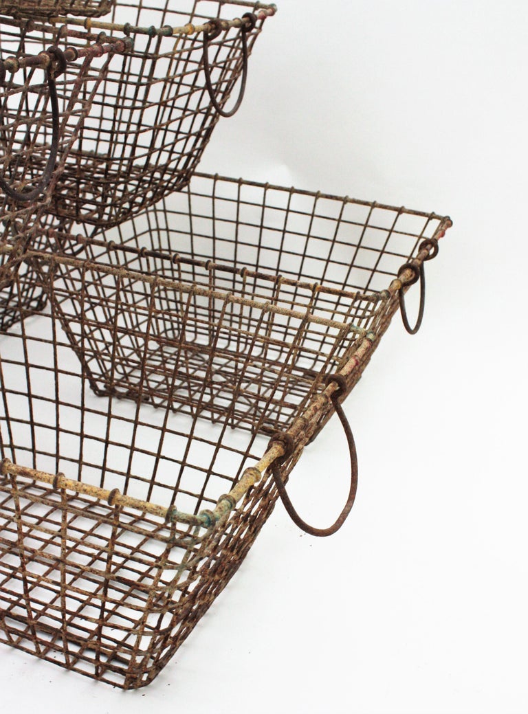 Set of Seven Coquillage Oysters Baskets in Iron Wire For Sale at 1stDibs