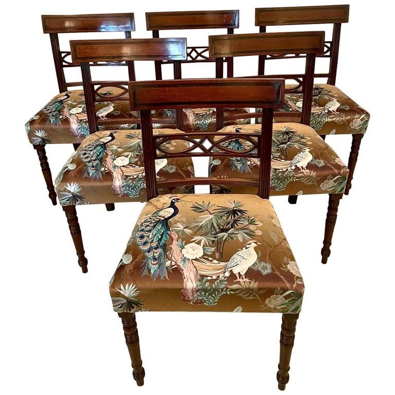 Set of Six Antique Regency Inlaid Mahogany Dining Chairs For Sale at ...