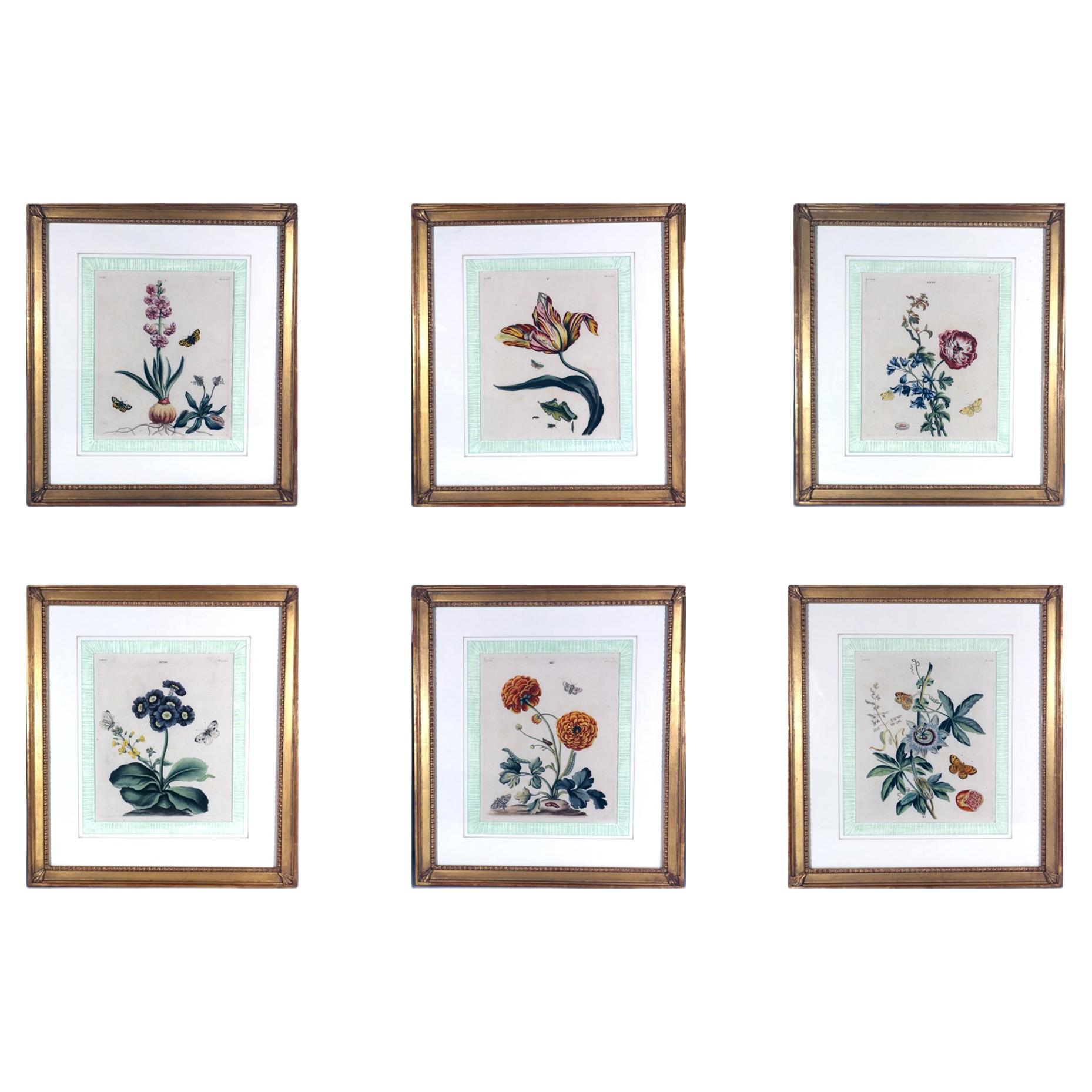Set of Six Botanical Prints in Mirrored Frames by Trowbridge at 1stDibs ...