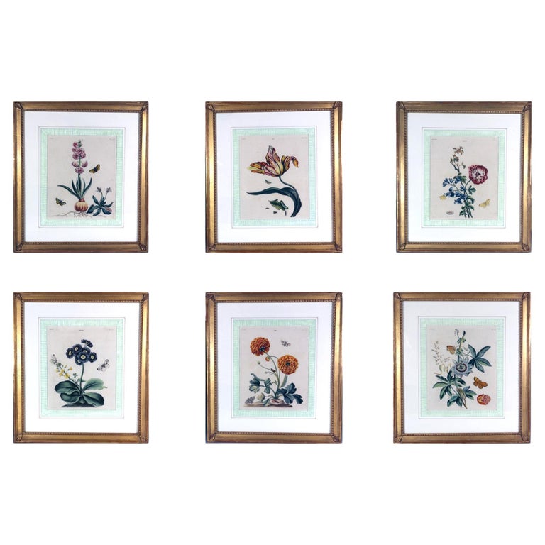 Set of Six Botanical Framed Prints, by Benjamin Wilkes For Sale at 1stDibs