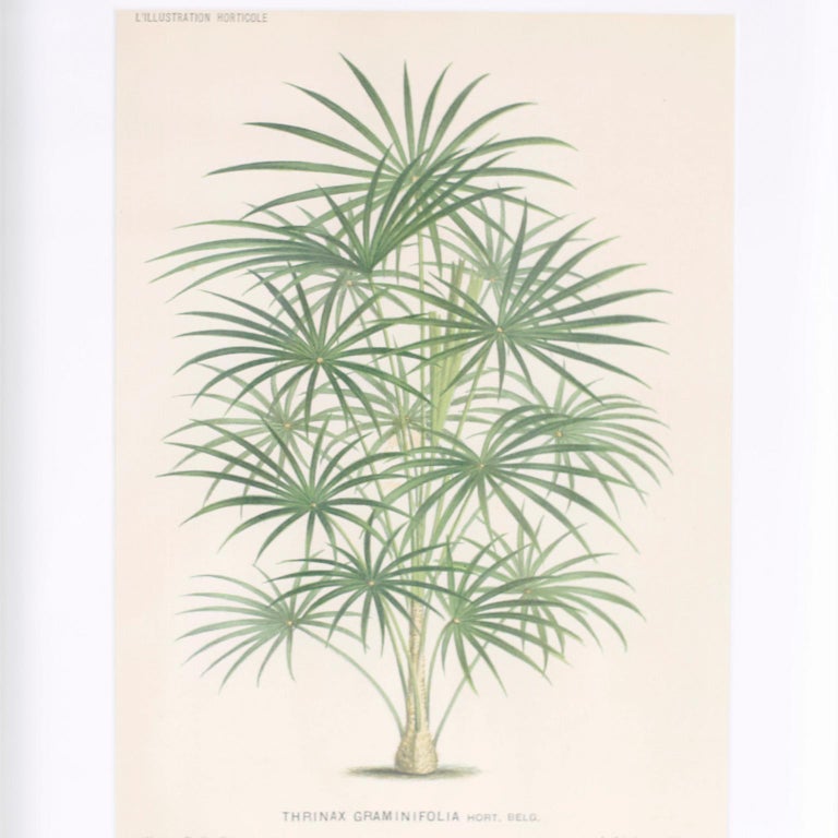 Set of Six Botanical Prints in Mirrored Frames by Trowbridge at 1stDibs ...