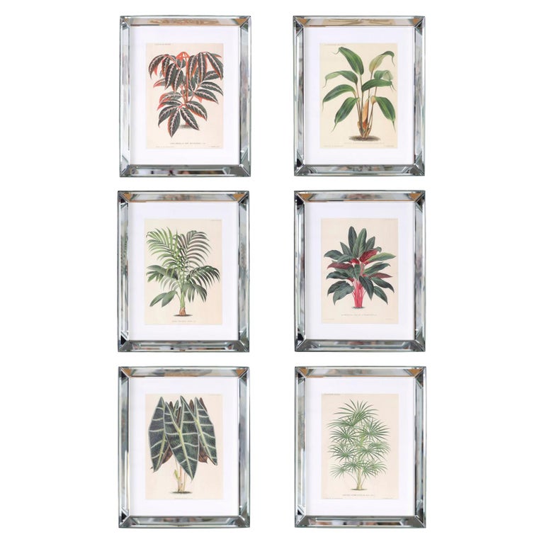 Set of Six Botanical Prints in Mirrored Frames by Trowbridge at 1stDibs ...