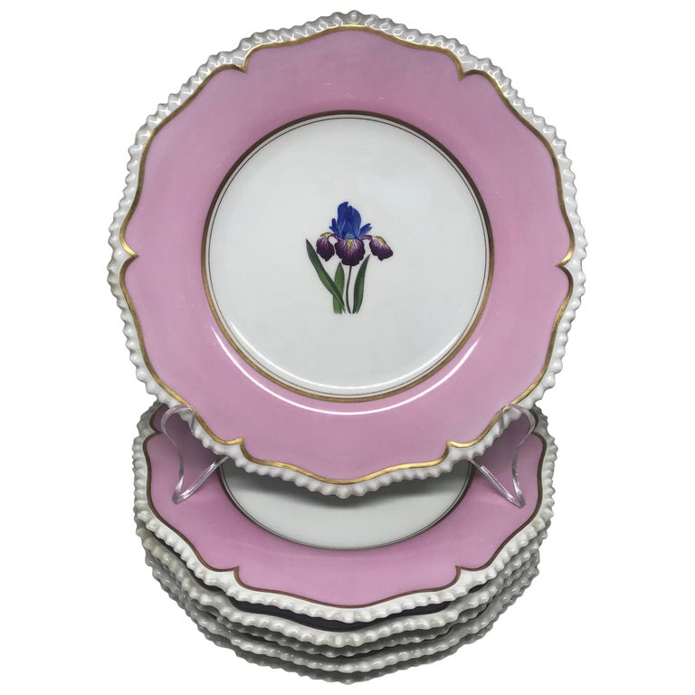 Set of Six Pink Floral Plates at 1stDibs