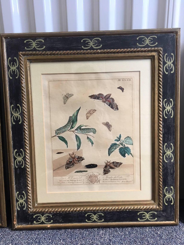 Set of Six Engravings by Moses Harris from Aurelian, circa 1766 at 1stDibs