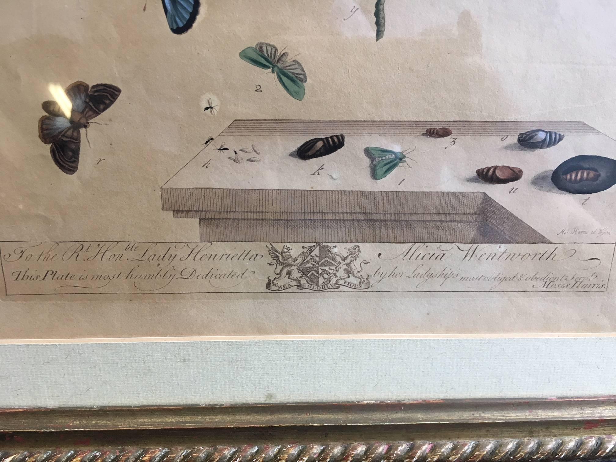 Set of Six Engravings by Moses Harris from Aurelian, circa 1766 at 1stDibs