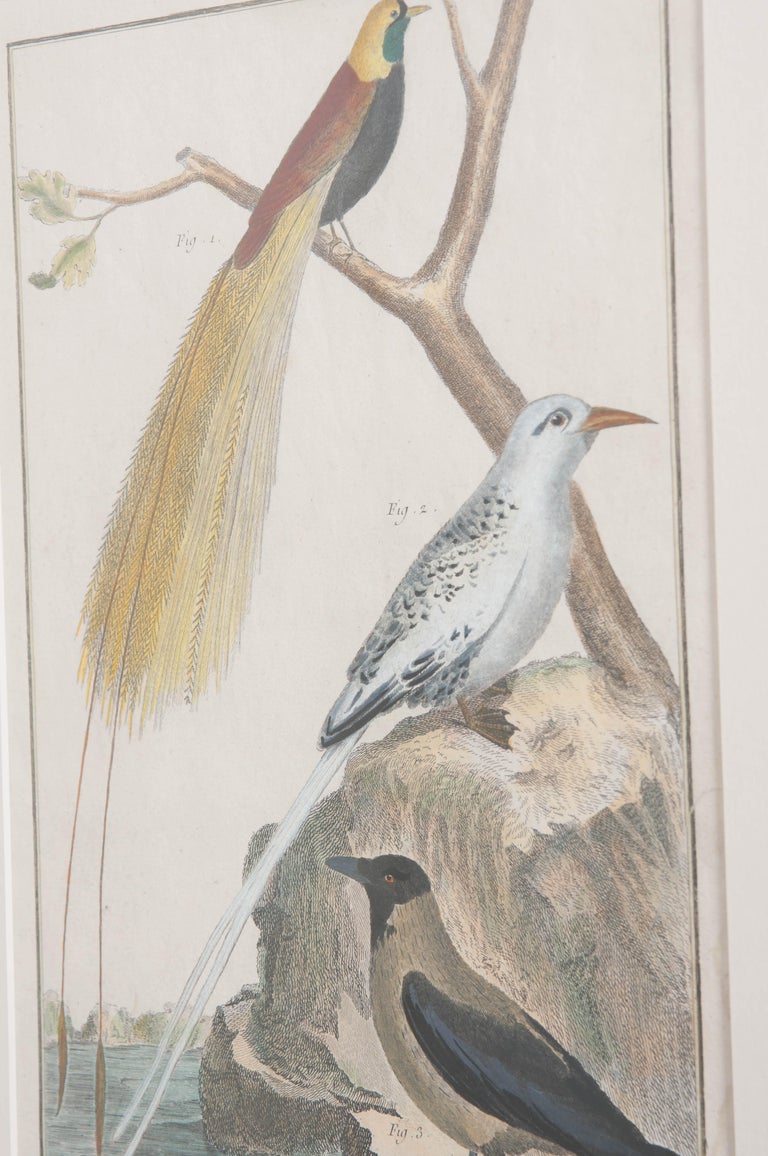 Set of Six French 18th Century Hand Colored Lithographs For Sale at 1stdibs