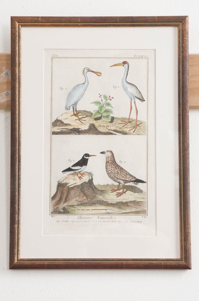 Set of Six French 18th Century Hand Colored Lithographs For Sale at 1stdibs