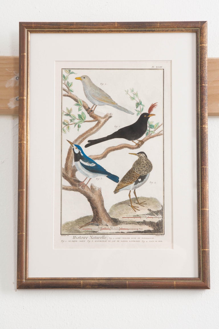 Set of Six French 18th Century Hand Colored Lithographs For Sale at 1stdibs