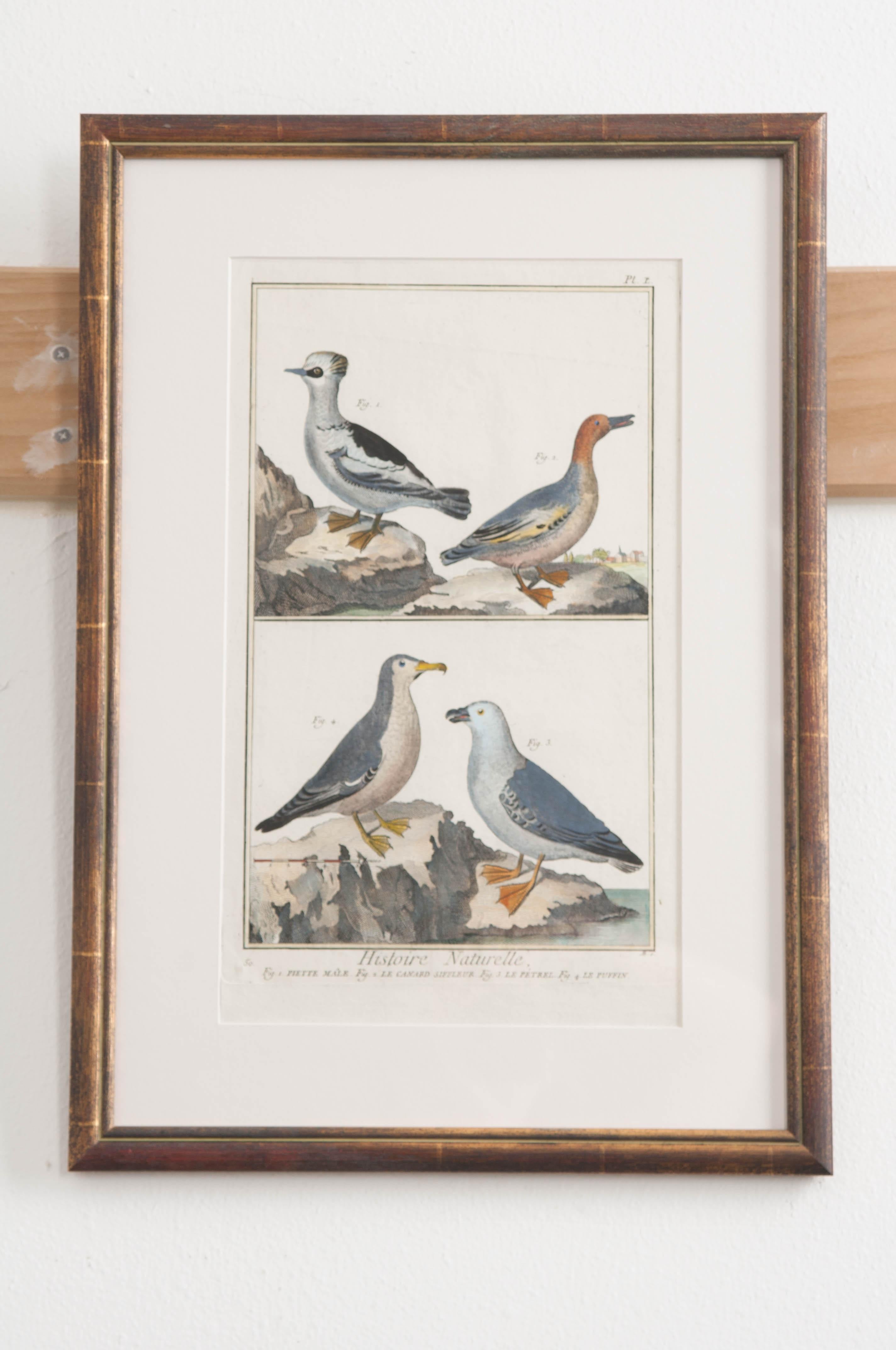 Set of Six French 18th Century Hand Colored Lithographs at 1stDibs ...