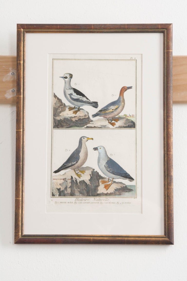 Set of Six French 18th Century Hand Colored Lithographs For Sale at 1stdibs