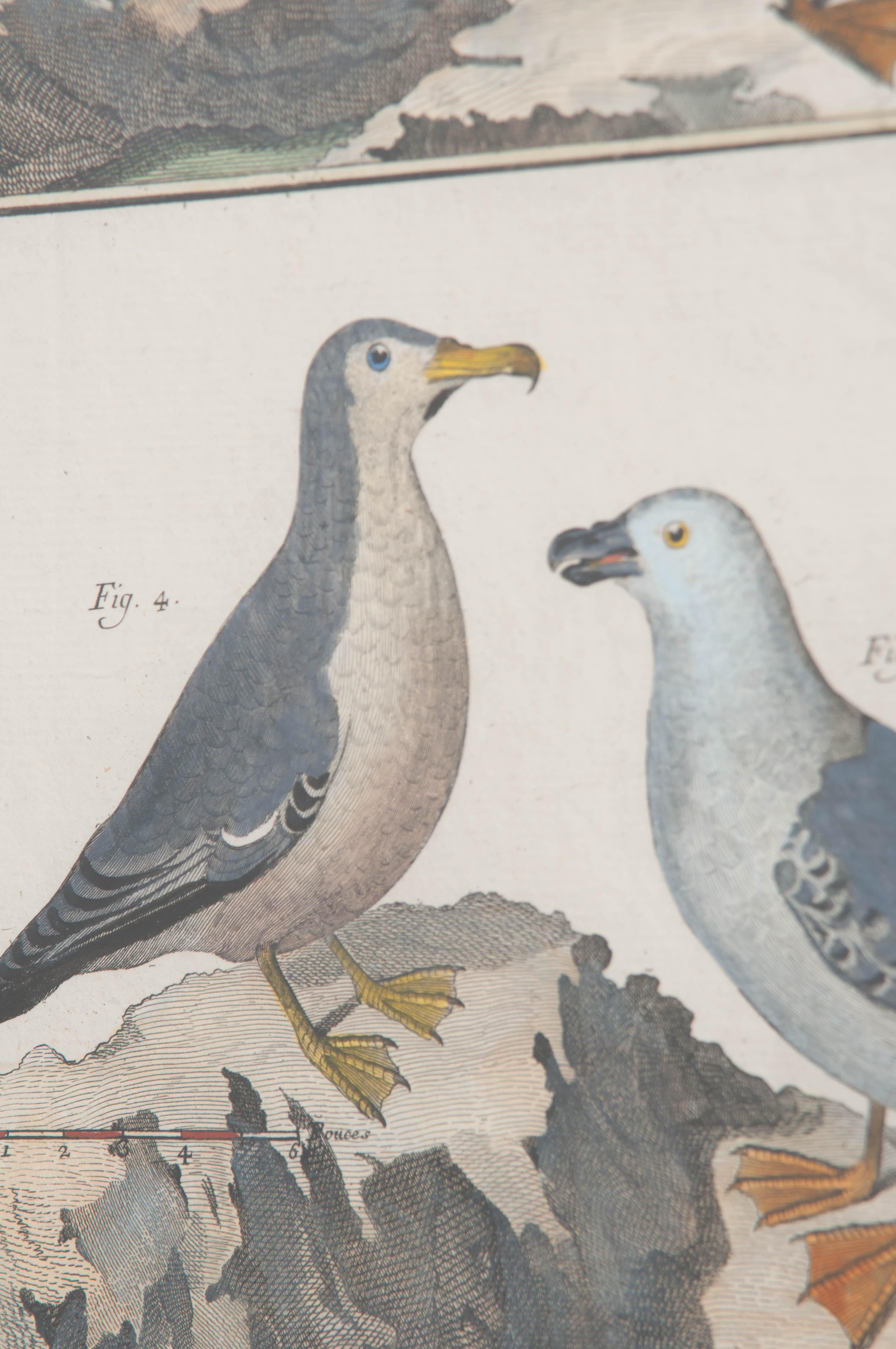 Set of Six French 18th Century Hand Colored Lithographs at 1stDibs ...