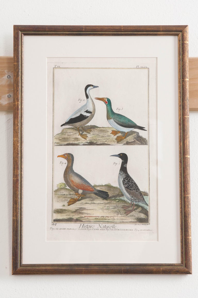 Set of Six French 18th Century Hand Colored Lithographs For Sale at 1stdibs