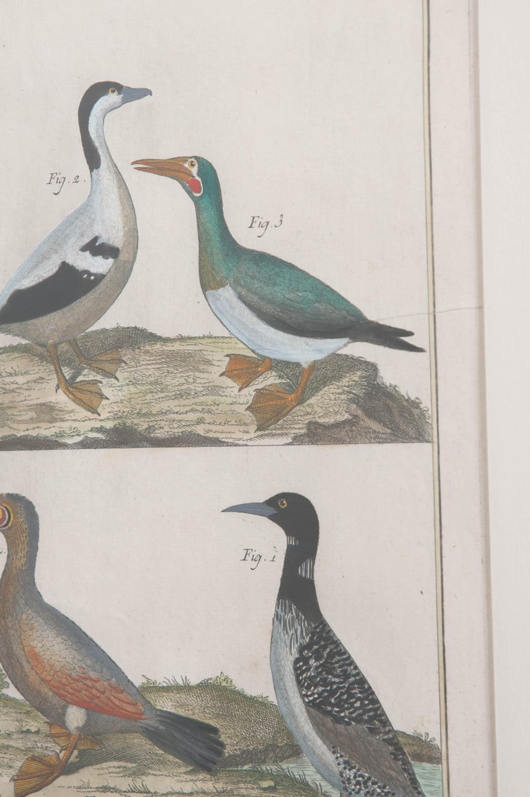 Set of Six French 18th Century Hand Colored Lithographs For Sale at 1stdibs
