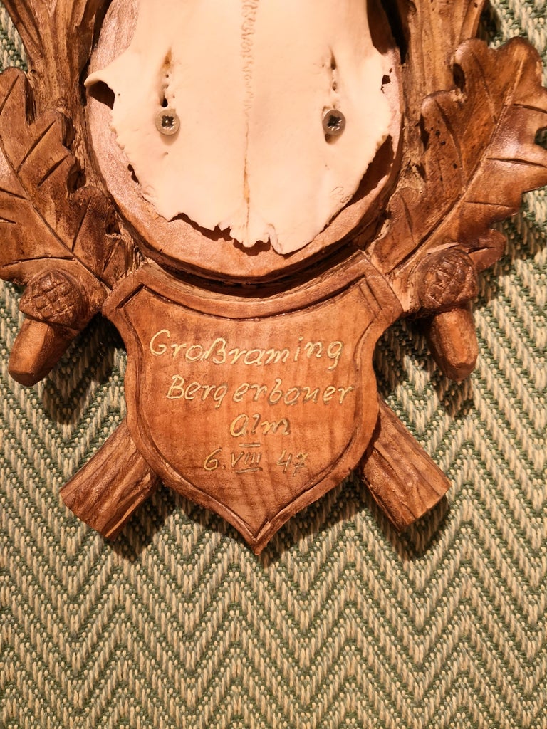 Set of Six Hunting Plaques, Austria For Sale at 1stDibs