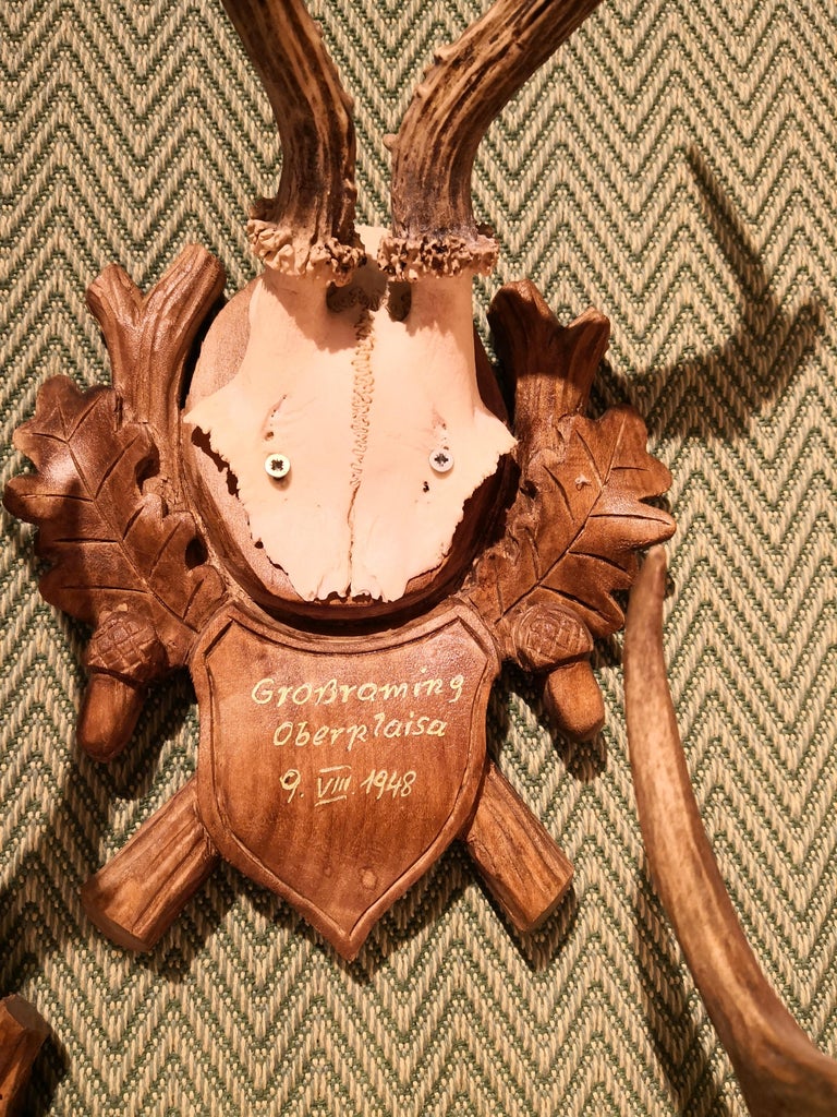 Set of Six Hunting Plaques, Austria For Sale at 1stDibs