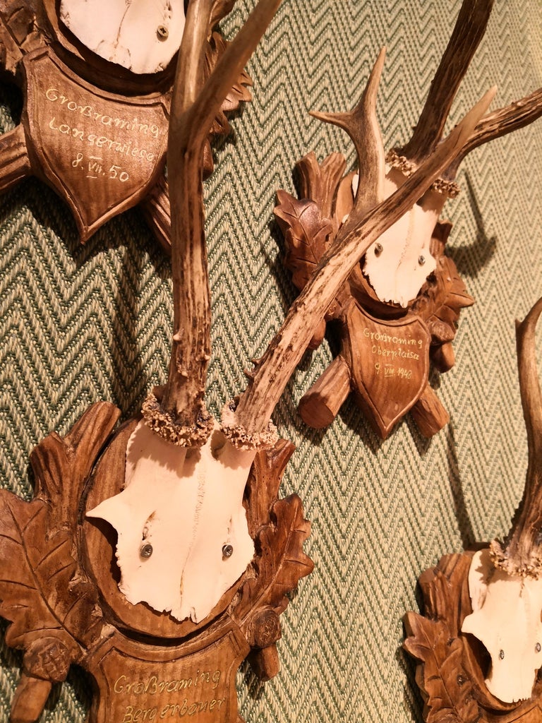 Set of Six Hunting Plaques, Austria For Sale at 1stDibs