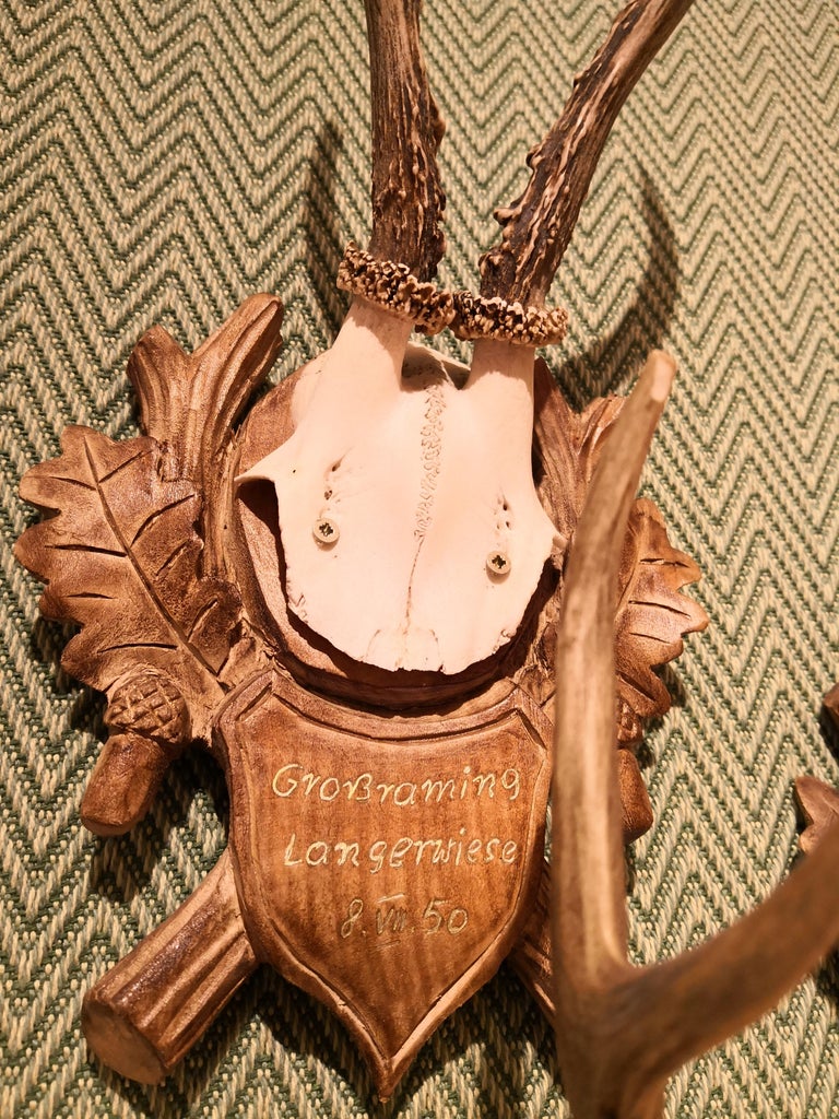 Set of Six Hunting Plaques, Austria For Sale at 1stDibs