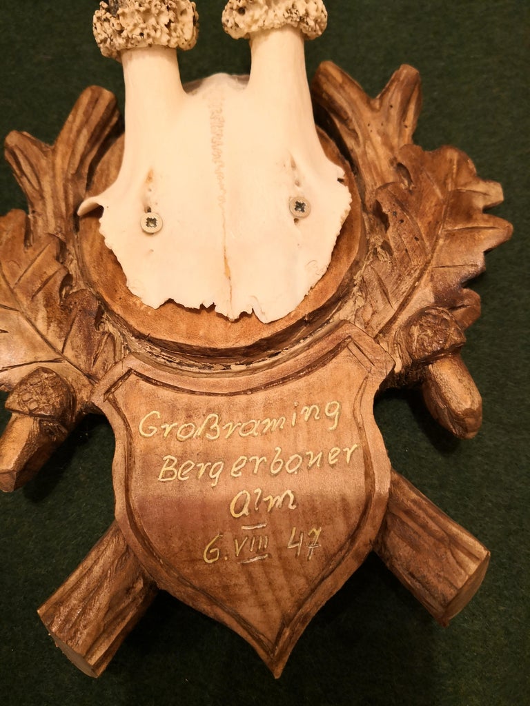 Set of Six Hunting Plaques, Austria For Sale at 1stDibs