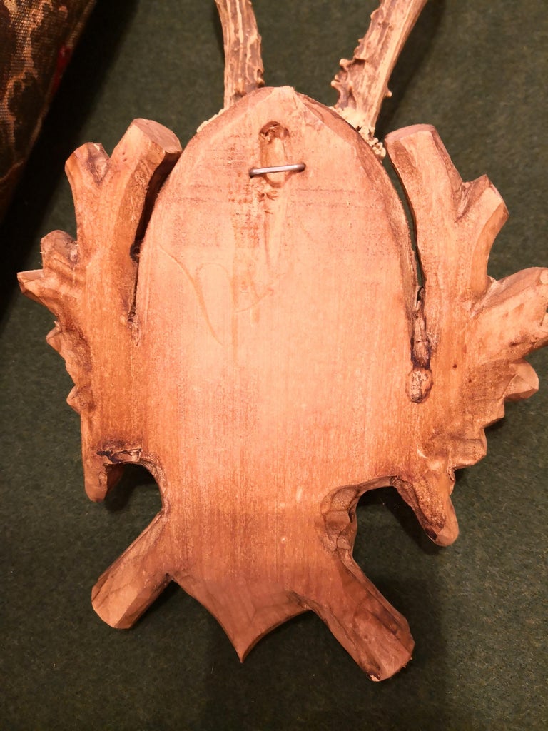 Set of Six Hunting Plaques, Austria For Sale at 1stDibs