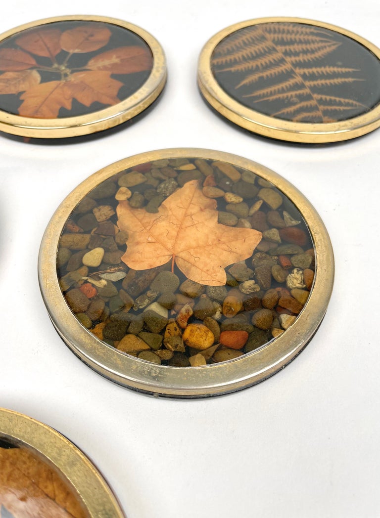 Set of Six Lucite and Brass Barware Coaster with Leaves Inclusions ...