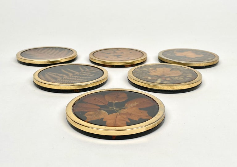 Set of Six Lucite and Brass Barware Coaster with Leaves Inclusions ...
