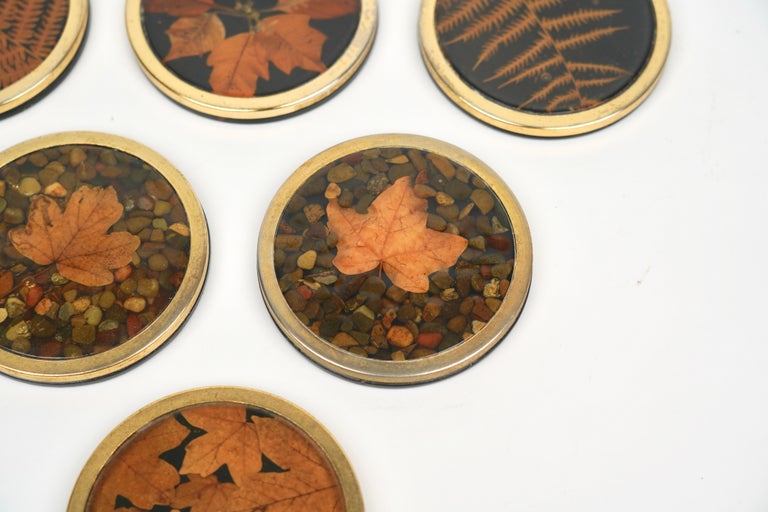 Set of Six Lucite and Brass Barware Coaster with Leaves Inclusions ...