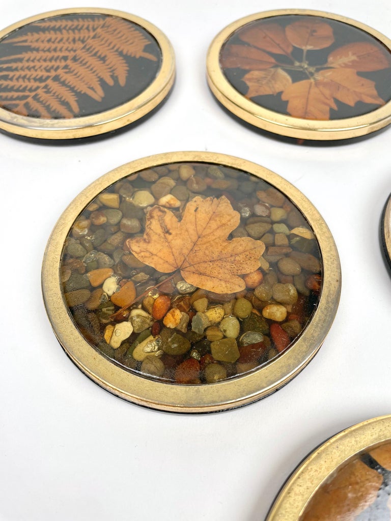 Set of Six Lucite and Brass Barware Coaster with Leaves Inclusions ...
