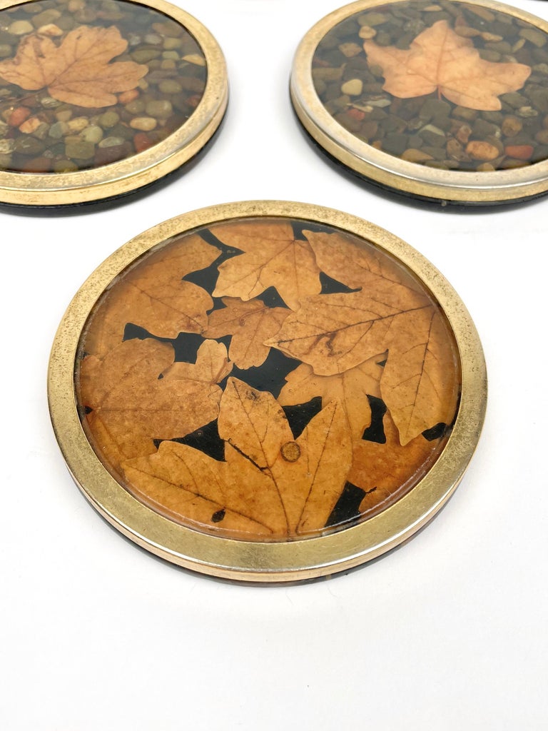 Set of Six Lucite and Brass Barware Coaster with Leaves Inclusions ...