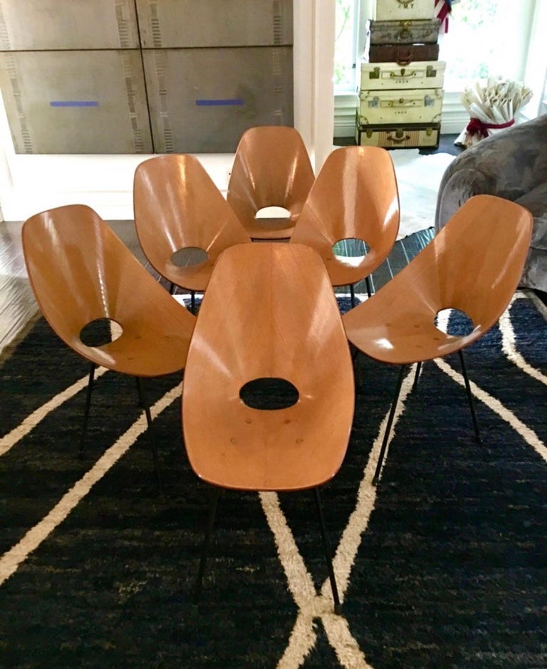 Set of Six Medea Chairs by Vittorio Nobili For Sale at 1stDibs